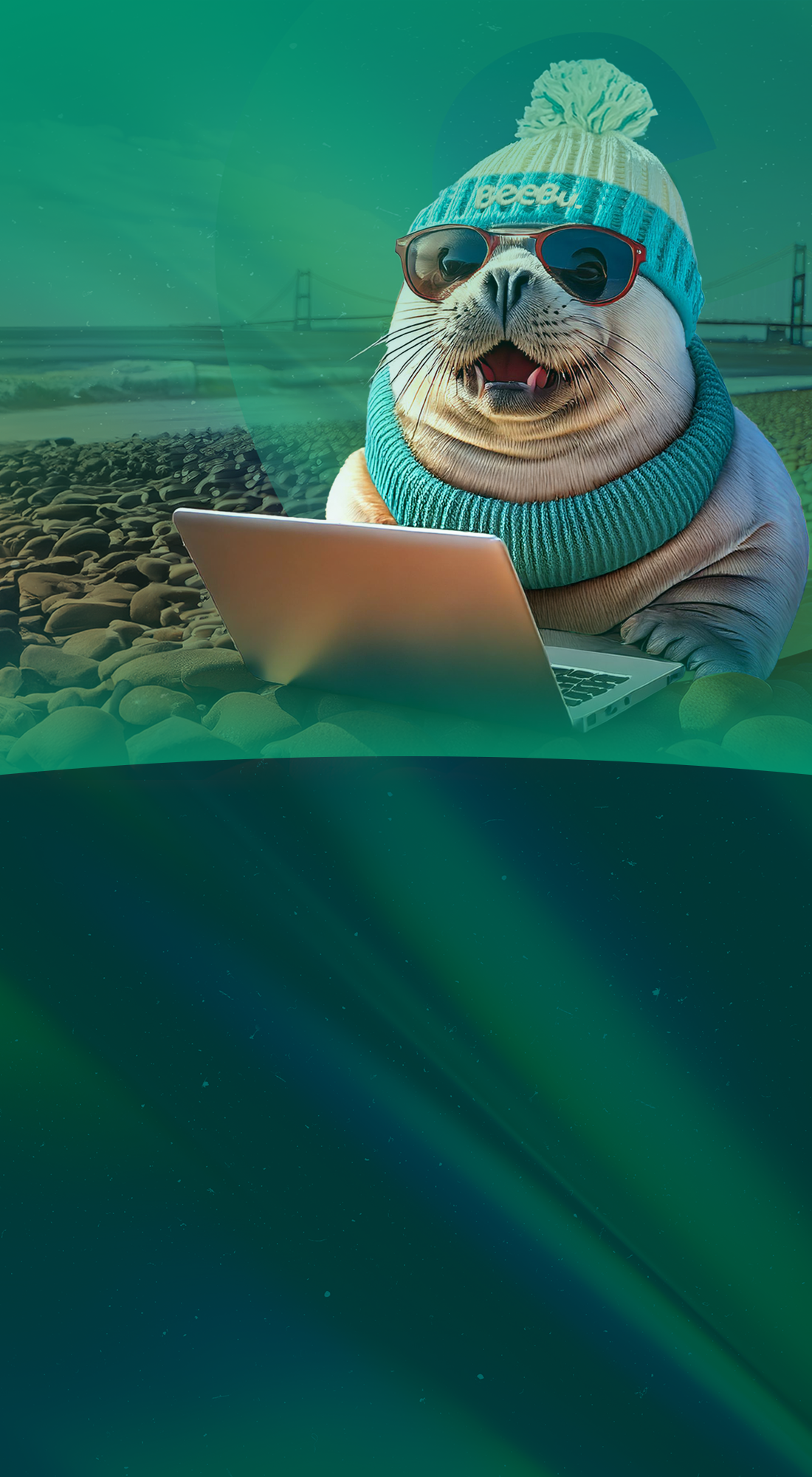 Humber Region Broadband - BeeBu